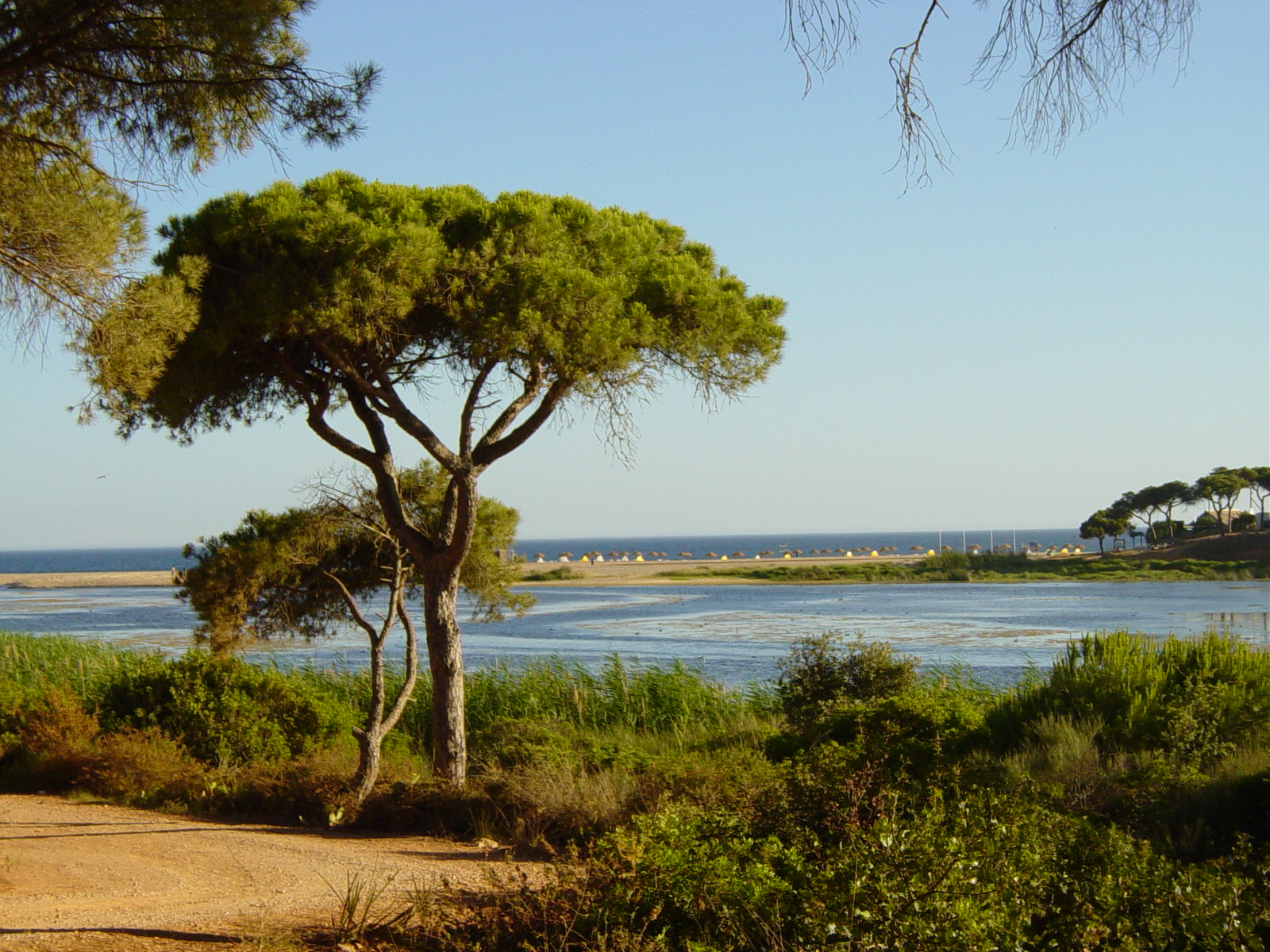 ALGARVE - PONTOS DE VISTA: Lagoa da foz da ribeira do Almargem