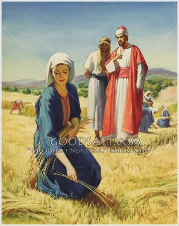preachbrotherbob: Boaz And Jeremiah Also Purchased A Field Like Jesus ...