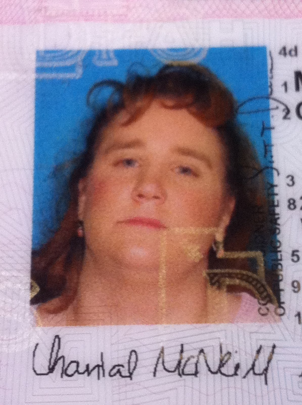 Michelle Martine Merrill's Picture of the Day: Bad Driver's License Photo