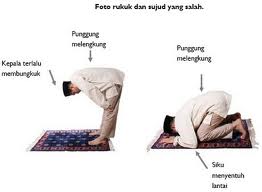 Bagaimana Rasullulah Saw Rukuk? - mselim3.blogspot.my