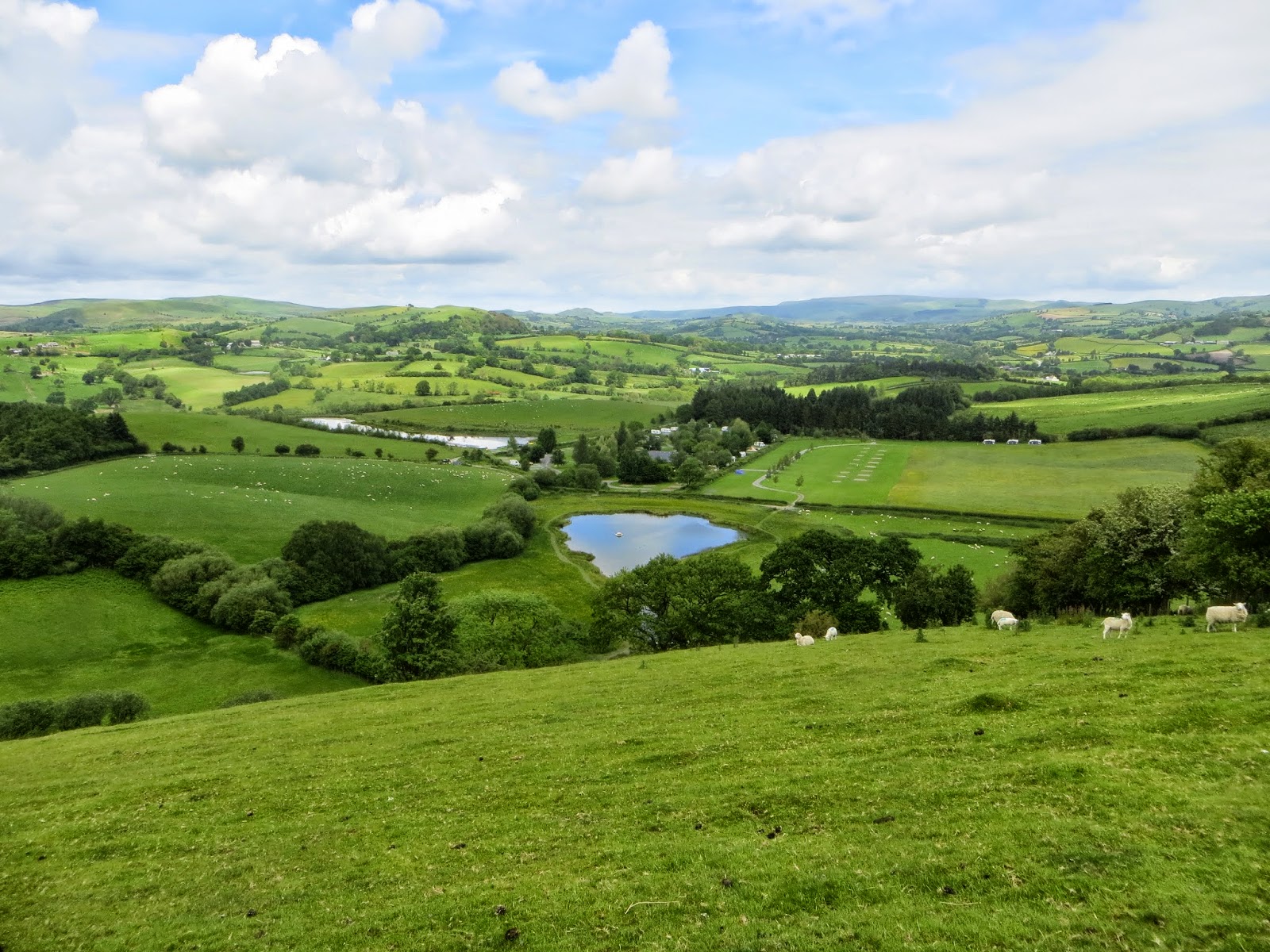 Spud's Daily Photo: F is for Fforest Fields