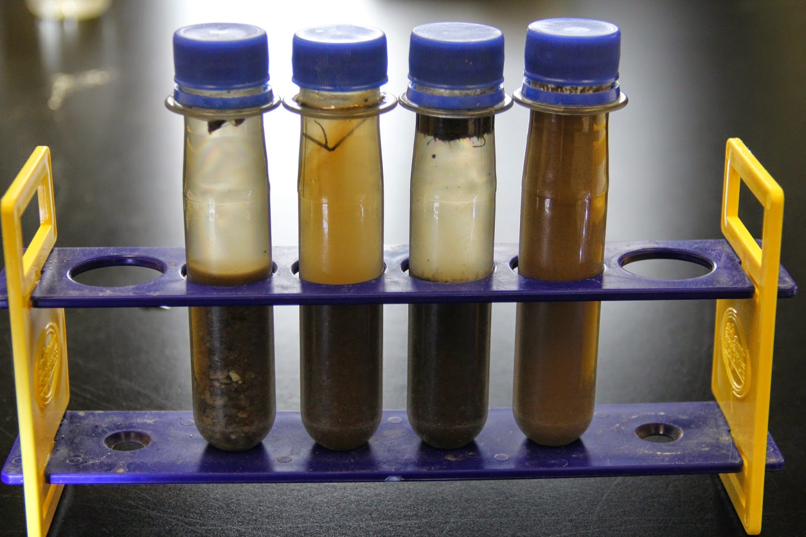 Isabella Conservation District Environmental Education Program: Soil ...