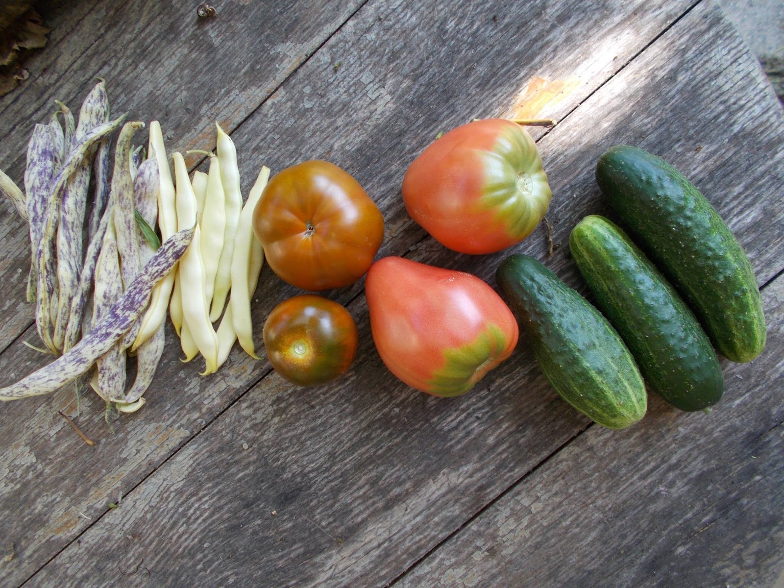 Brevkina svežina: Poznate poletni tolščak?