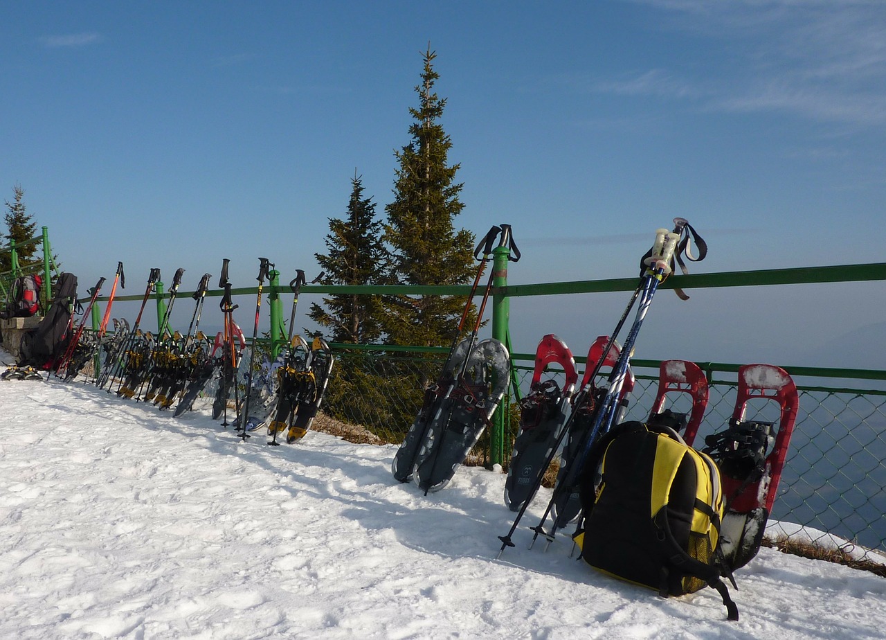 AAA State of Play Blog: 9 Benefits of Snowshoeing for the Whole Family