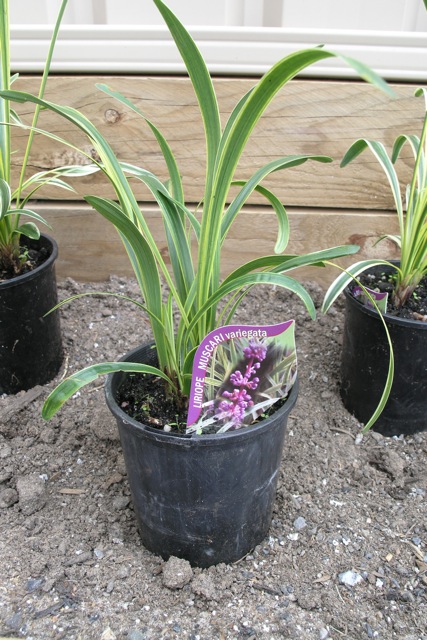 Keeping up with the Joneses