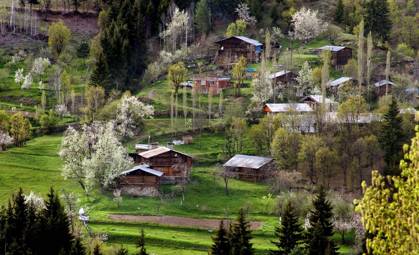 The Land of Kurds -Kurdistan (Anatolia-Mesopotamia): Kurdish (Medes) People