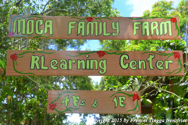 Frenz Fries: MoCa Family Farm