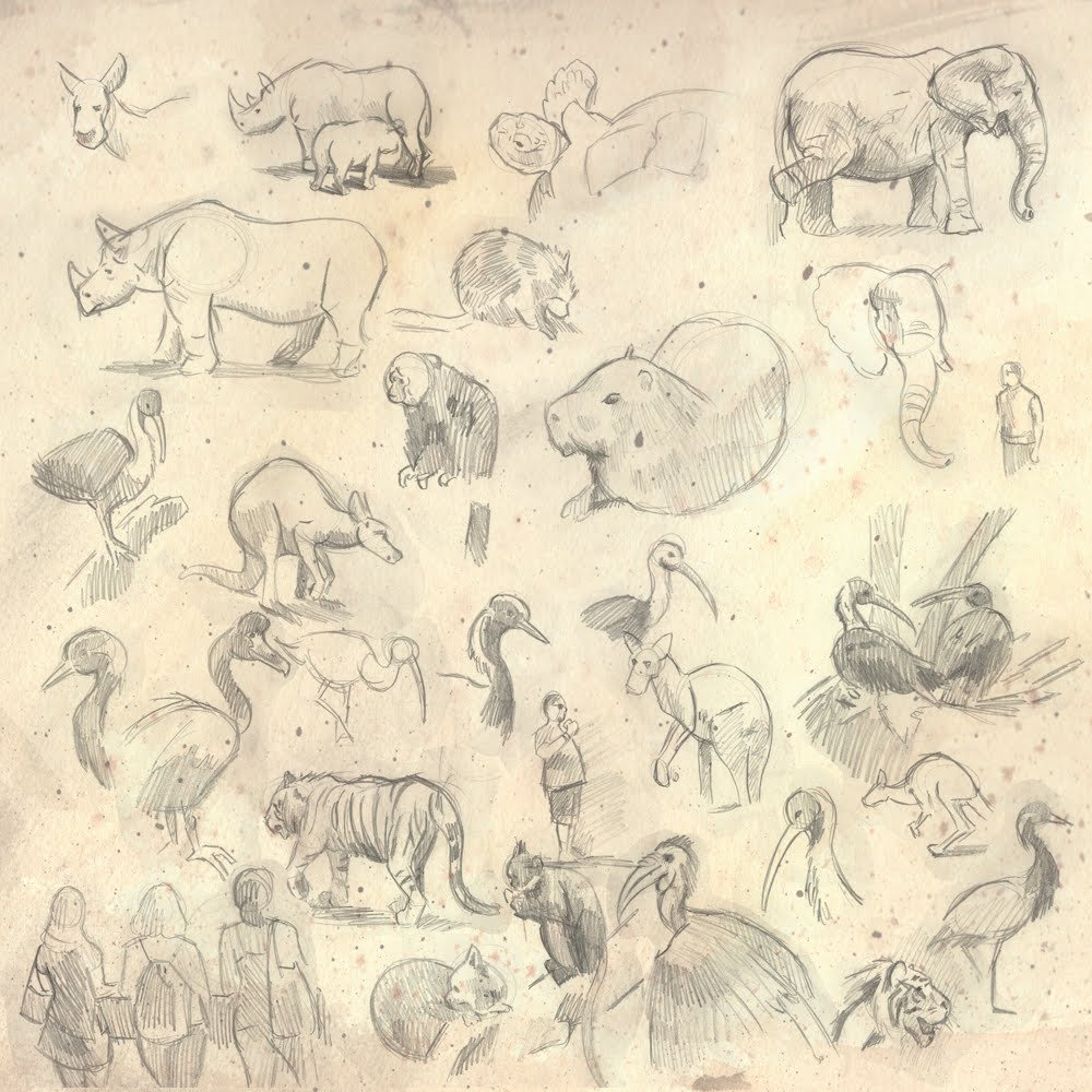 Jeff Porter Illustration: Zoo Drawing Day