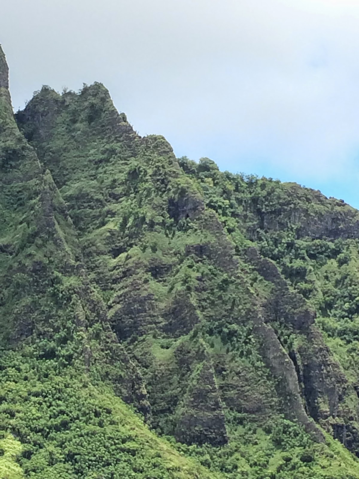 Pohukaina Cave: Kaualehu Cave