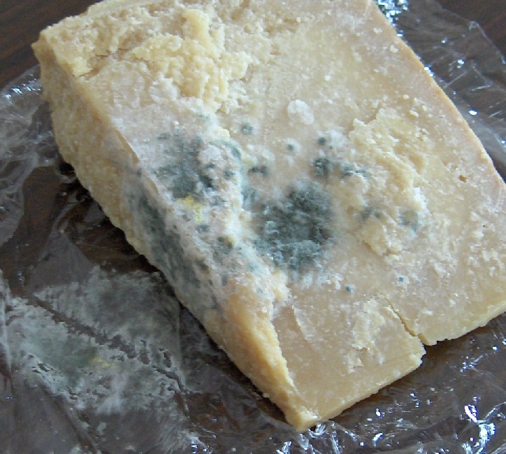 MERCATO LIBERO: IL FORMAGGIO SVIZZERO HA LA MUFFA!!!!!!!