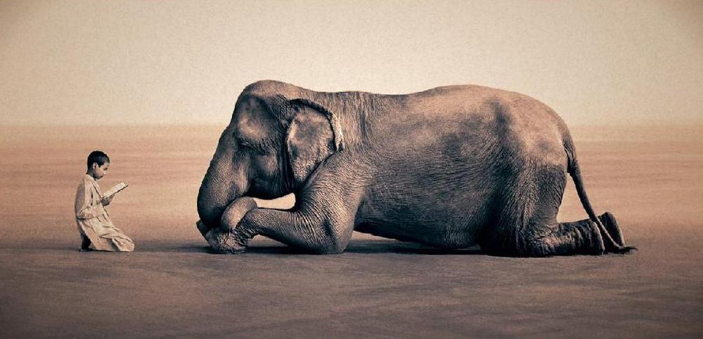 Gregory Colbert, 1960 ~ Canadian photographer | Tutt'Art@ | Pittura ...