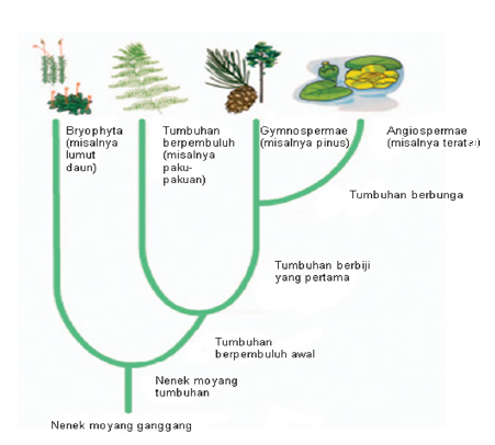 Winda Kumeidah: KLASIFIKASI MAKHLUK HIDUP