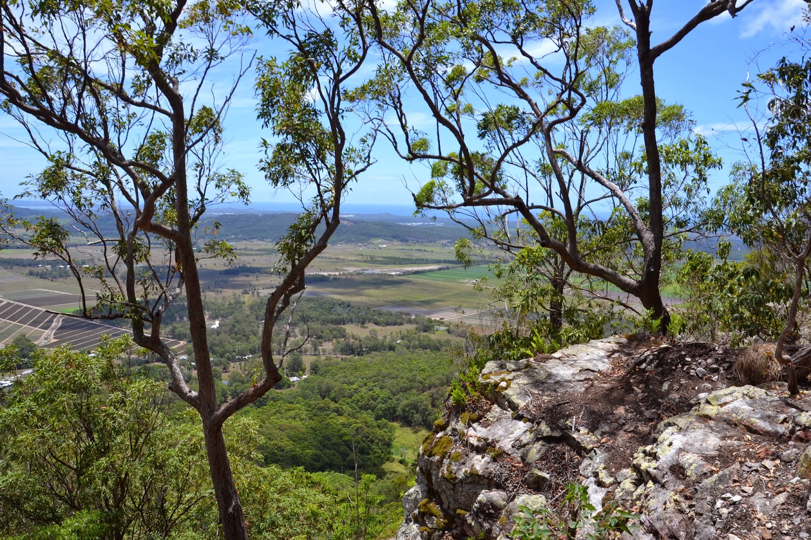 Life & Times: Climbing Mount Ninderry