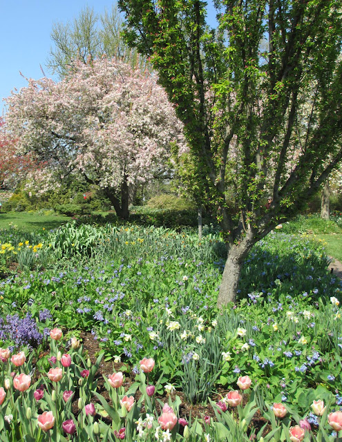Garden Fancy: Early April Scenes