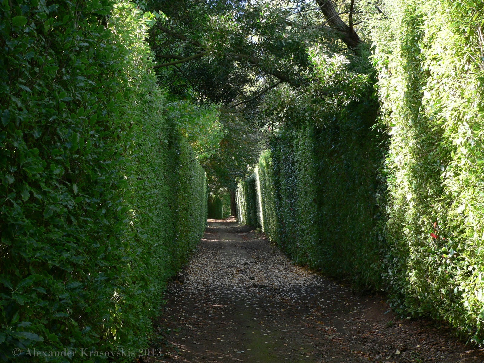 Aggregata Plants & Gardens: Visit to the historical Cameron Lodge ...