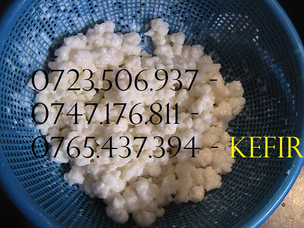 CRISTALE JAPONEZE CHEFIR BIO KEFIR DE APA ROMANIA