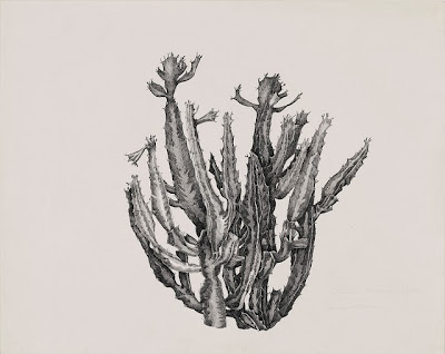 gorilla gardening: Botanical Art Illustrators