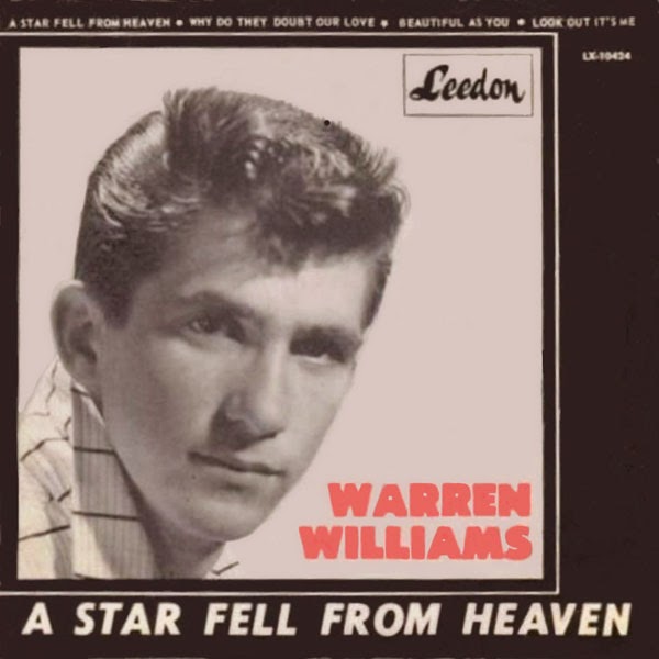 Little Aussie Albums: Warren Williams - A Star Fell From Heaven
