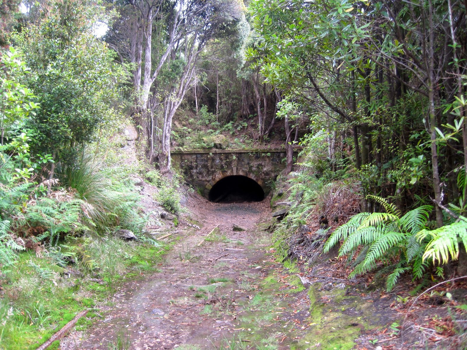 Carolyn in Aotearoa: The Mines of Millerton (Yes, Millerton, not Moria)