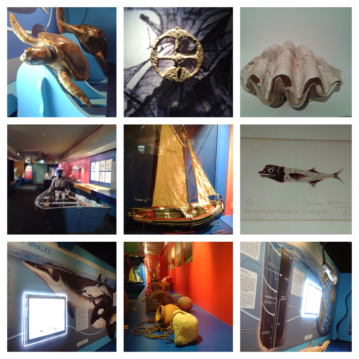 Departamento de Português: Museu do Mar