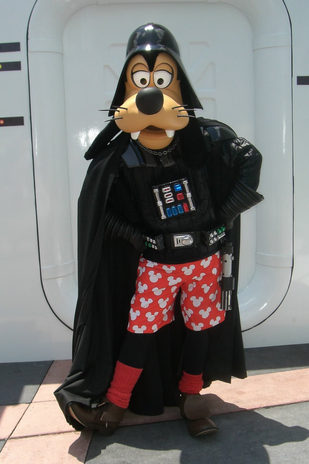 Unofficial Disney Character Hunting Guide: May The Force Be With You ...