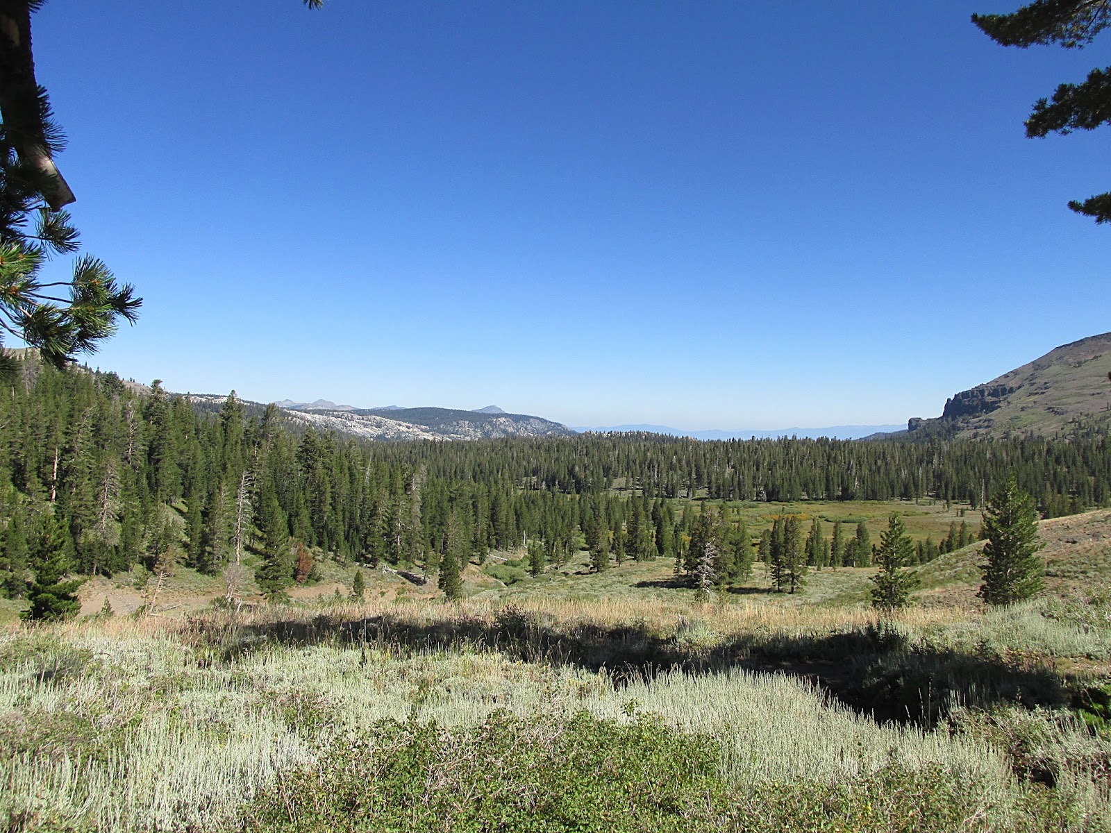 My Own Two Feet: Meiss Meadows, Lake Tahoe Management Unit