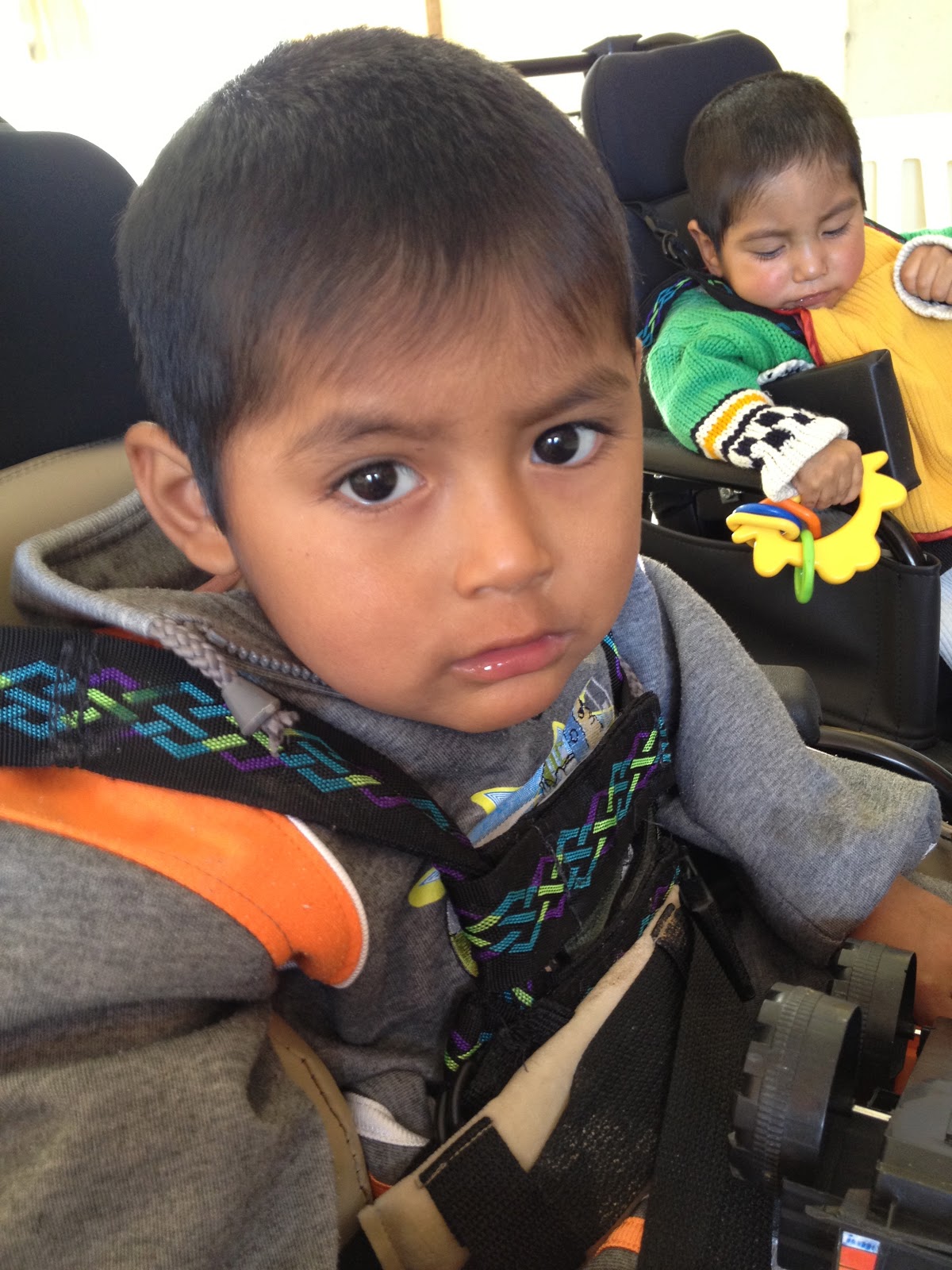 Tiny Humans: Meet the tiny humans!