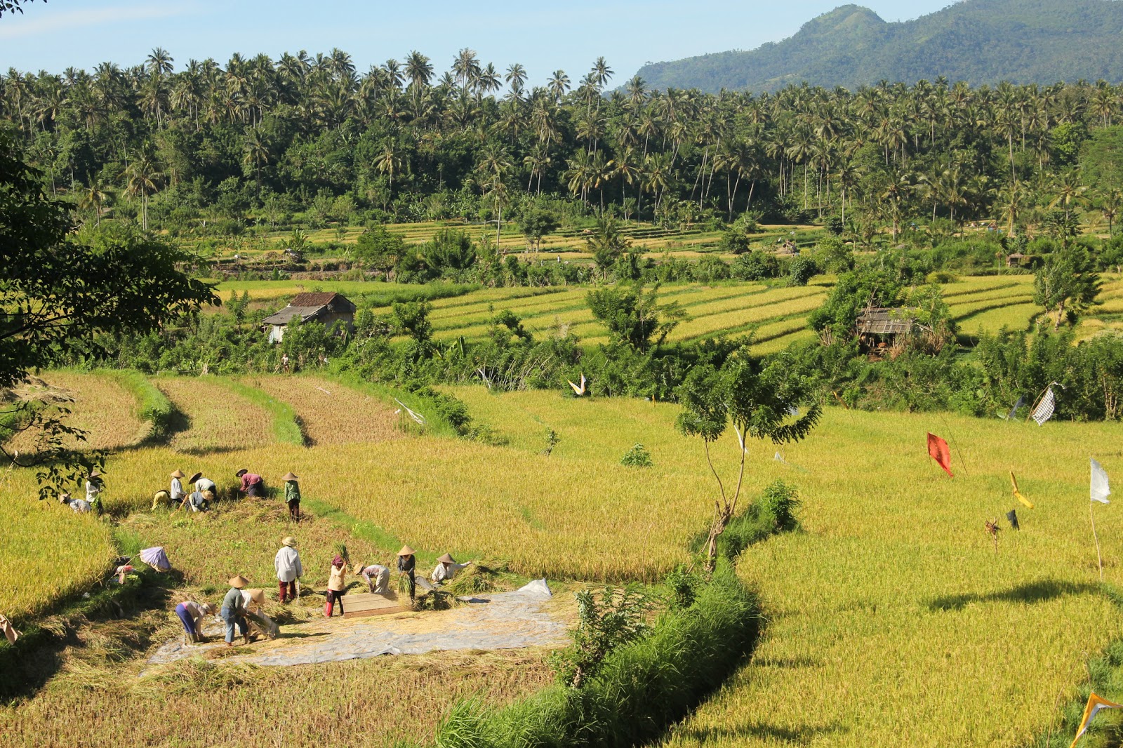 Walkabout: South East Asia