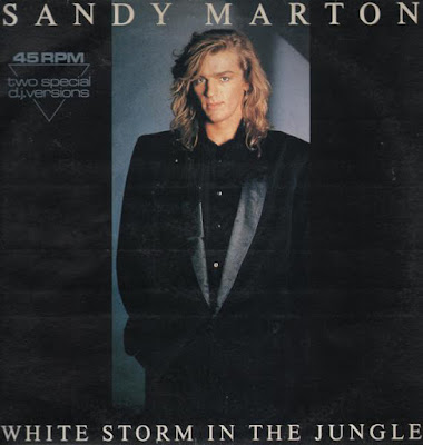 Disco Vinyl : O.K. Run is an alias for Sandy Marton as M-Basic