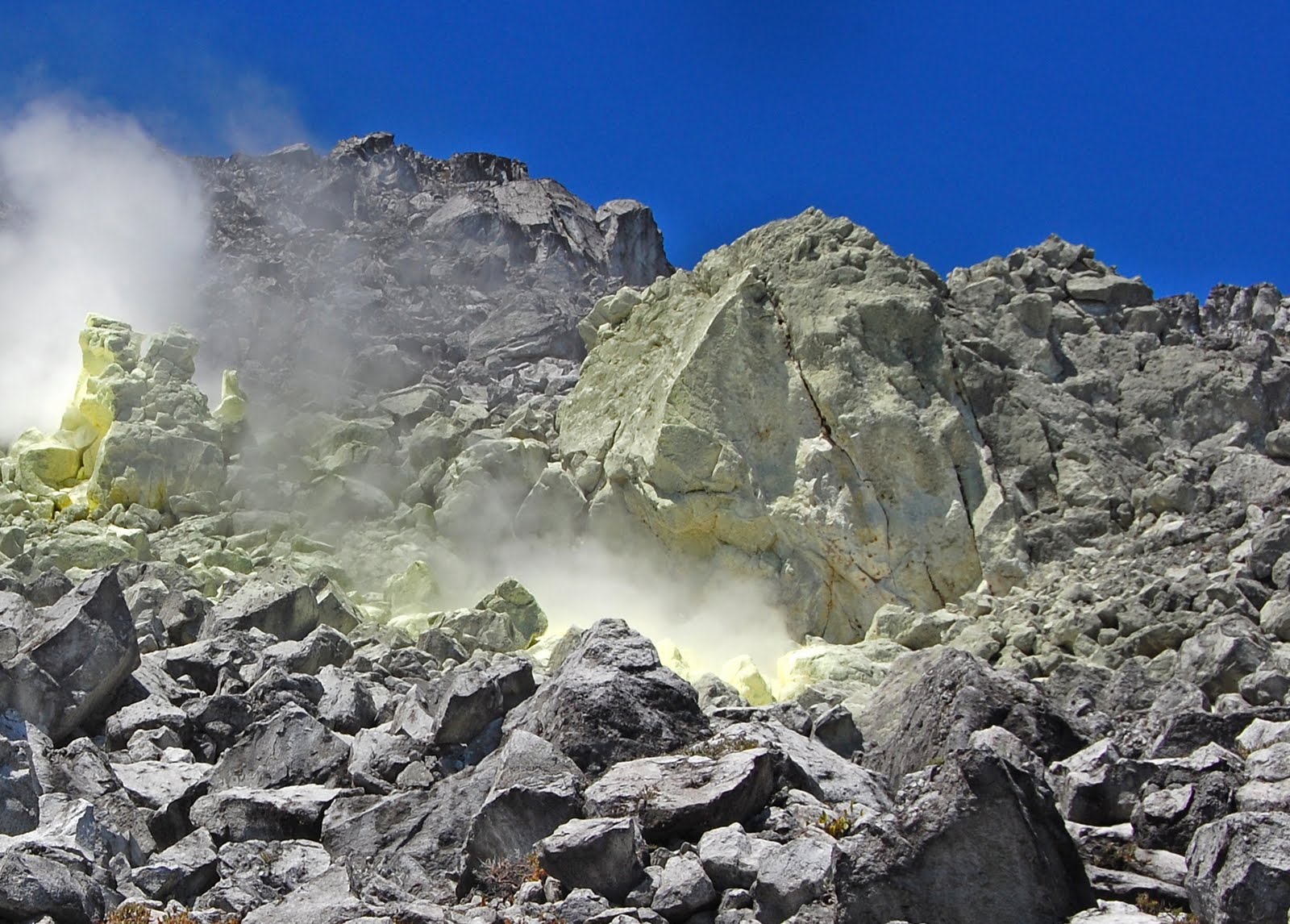 LOGSAC: TEAM CARMEN DOMINATES 1ST INTERNATIONAL MT. APO BOULDER FACE ...
