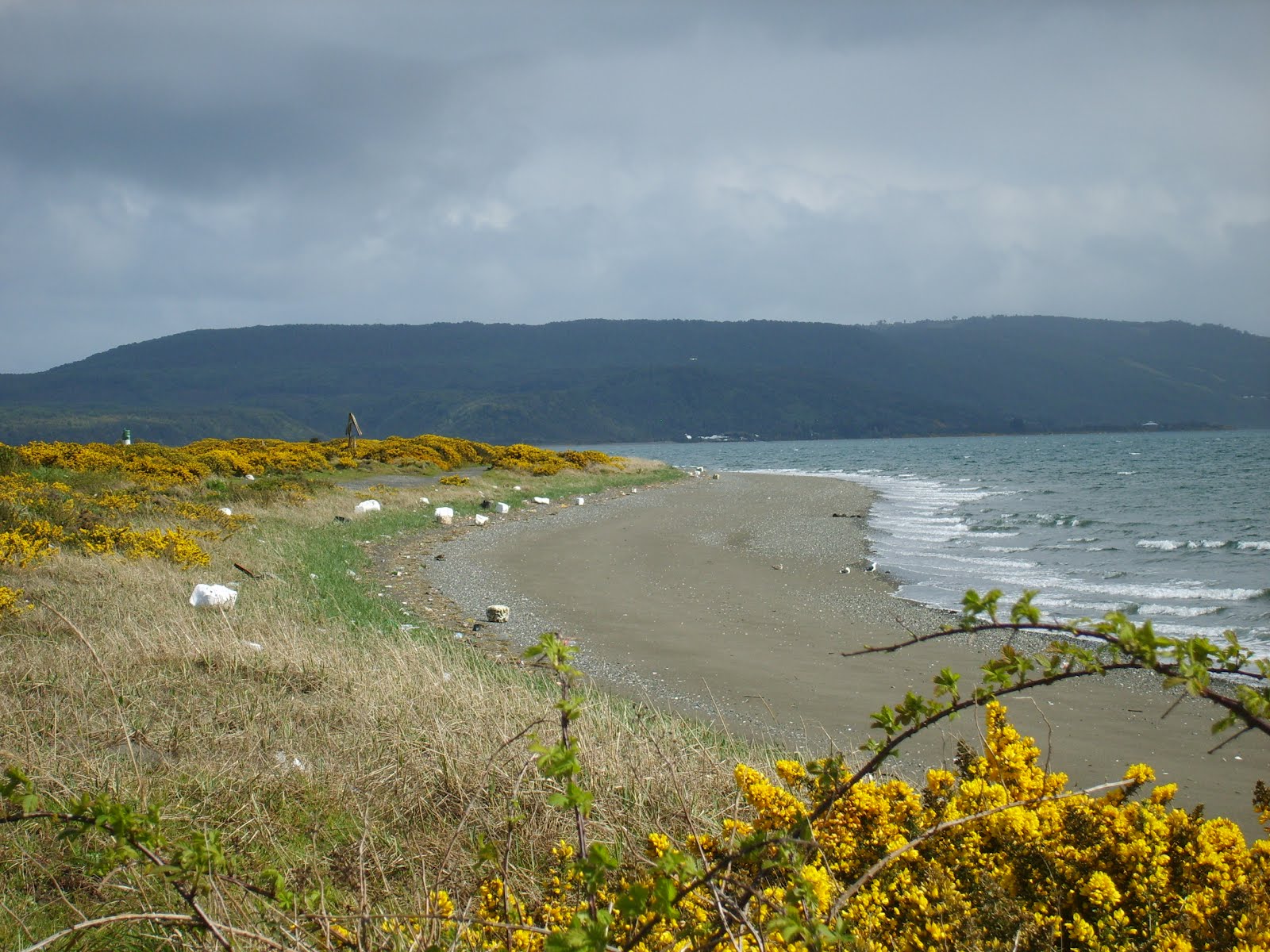 Chili Mapu: Queilen y la Hija de las Estrellas