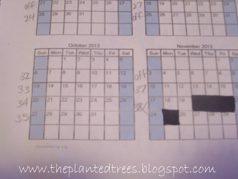 The Planted Trees: How I Plan Our Homeschool Year