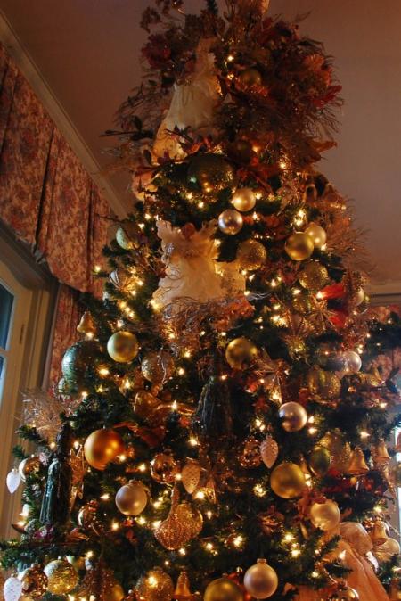 toekana: THE BEST CHRISTMAS TREES - ΤΑ ΩΡΑΙΟΤΕΡΑ ΧΡΙΣΤΟΥΓΕΝΝΙΑΤΙΚΑ ΔΕΝΤΡΑ