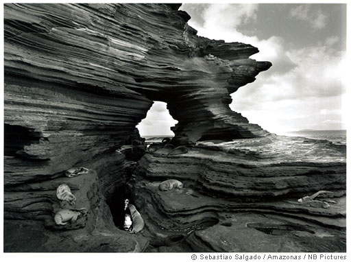 El Secreter: Salgado , el maestro