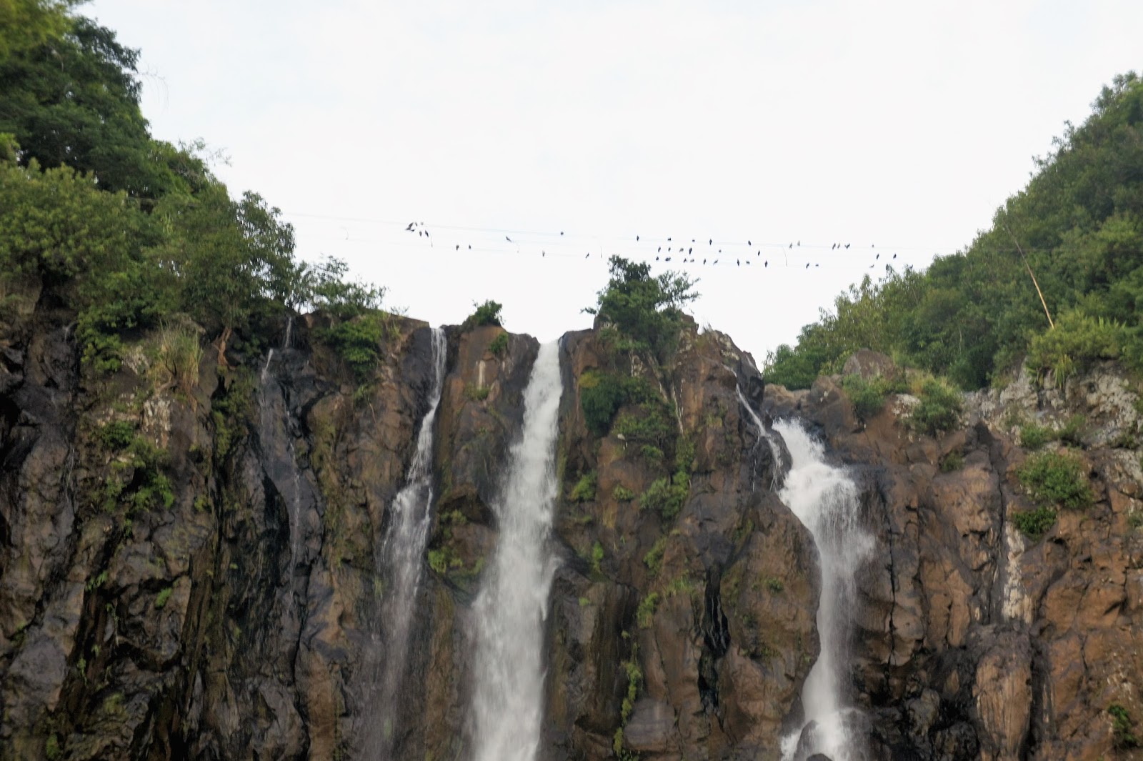 FRANCOISE UNE LORRAINE A LA REUNION: CASCADE NIAGARA à STE-SUZANNE (4/5 ...
