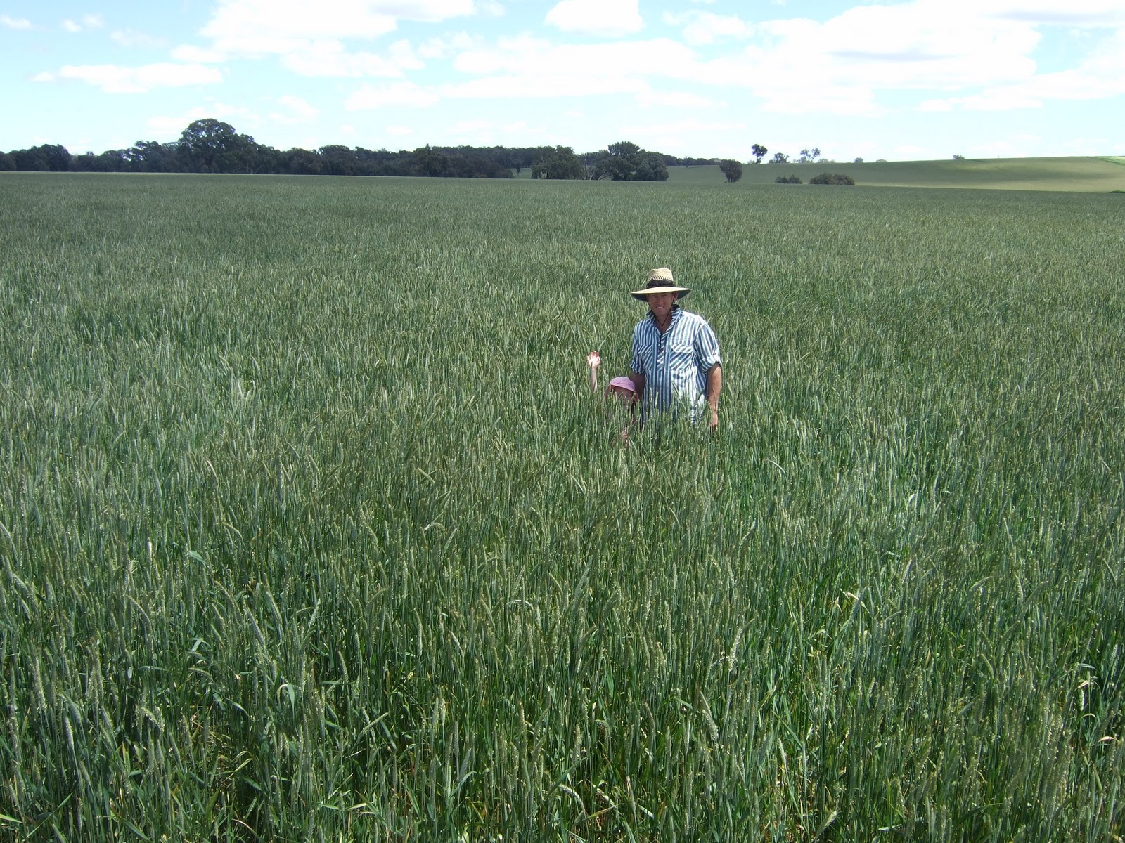 K T 's Farm Life: Crop Inspection.
