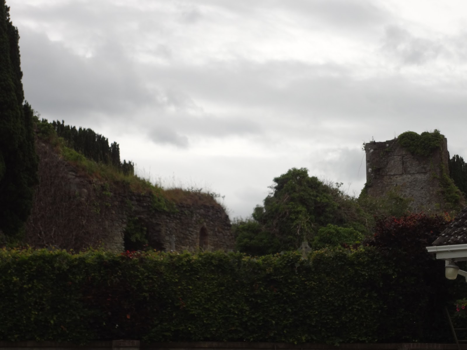 The Roaming Muse: Home Sweet Stamullen: A Photo Adventure