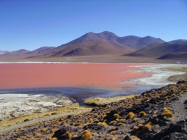 13 Most Colorful Lakes on Earth ~ Discover Infotainment, Jobs, Tourism ...