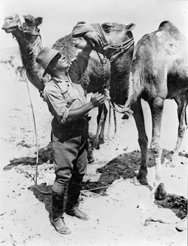 15 Animals That Served in the First World War ~ Vintage Everyday