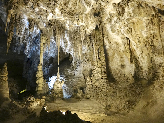 Carlsbad Aeries Parent Portal