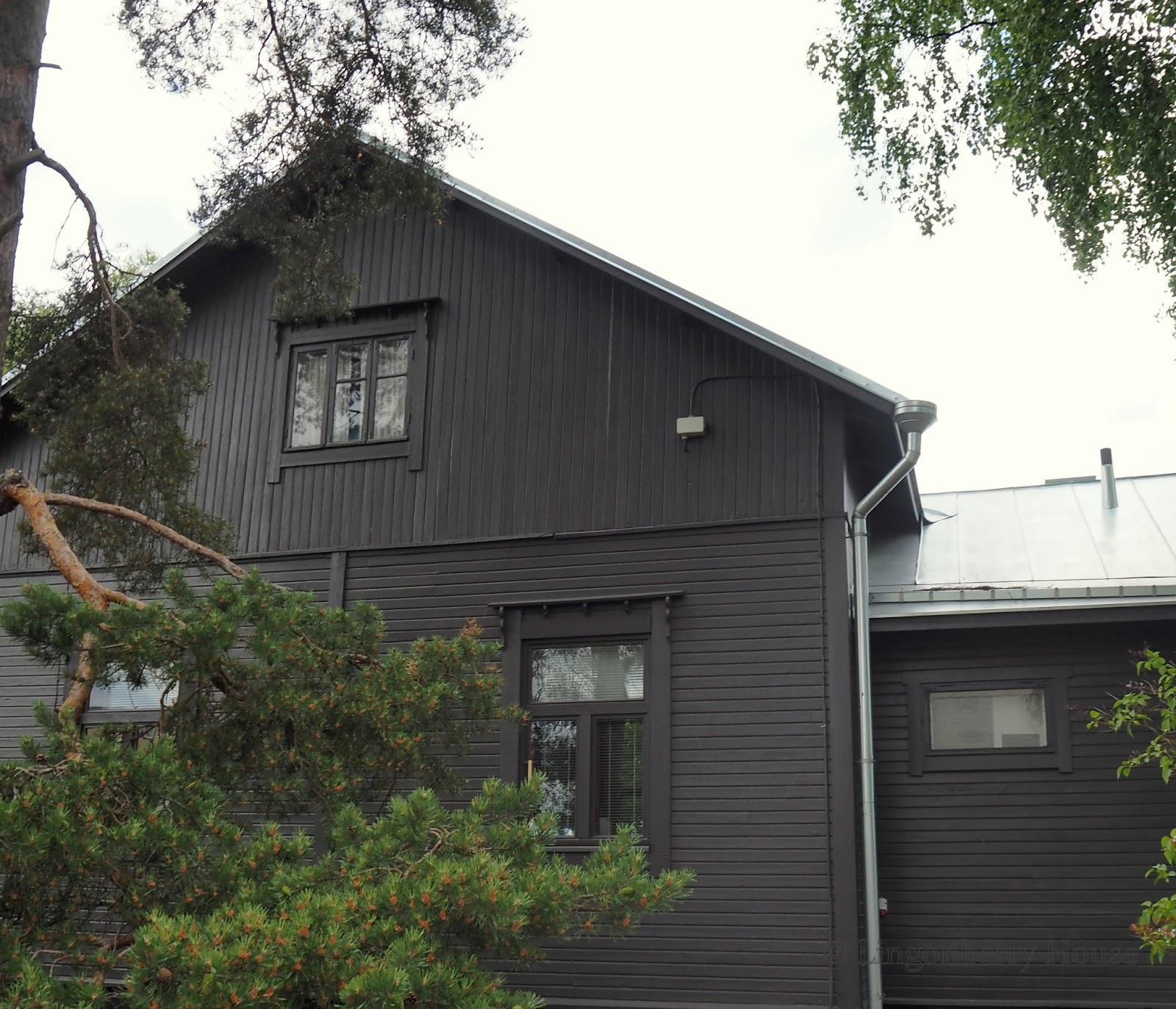 Lingonberry House: Musta talo / Black house