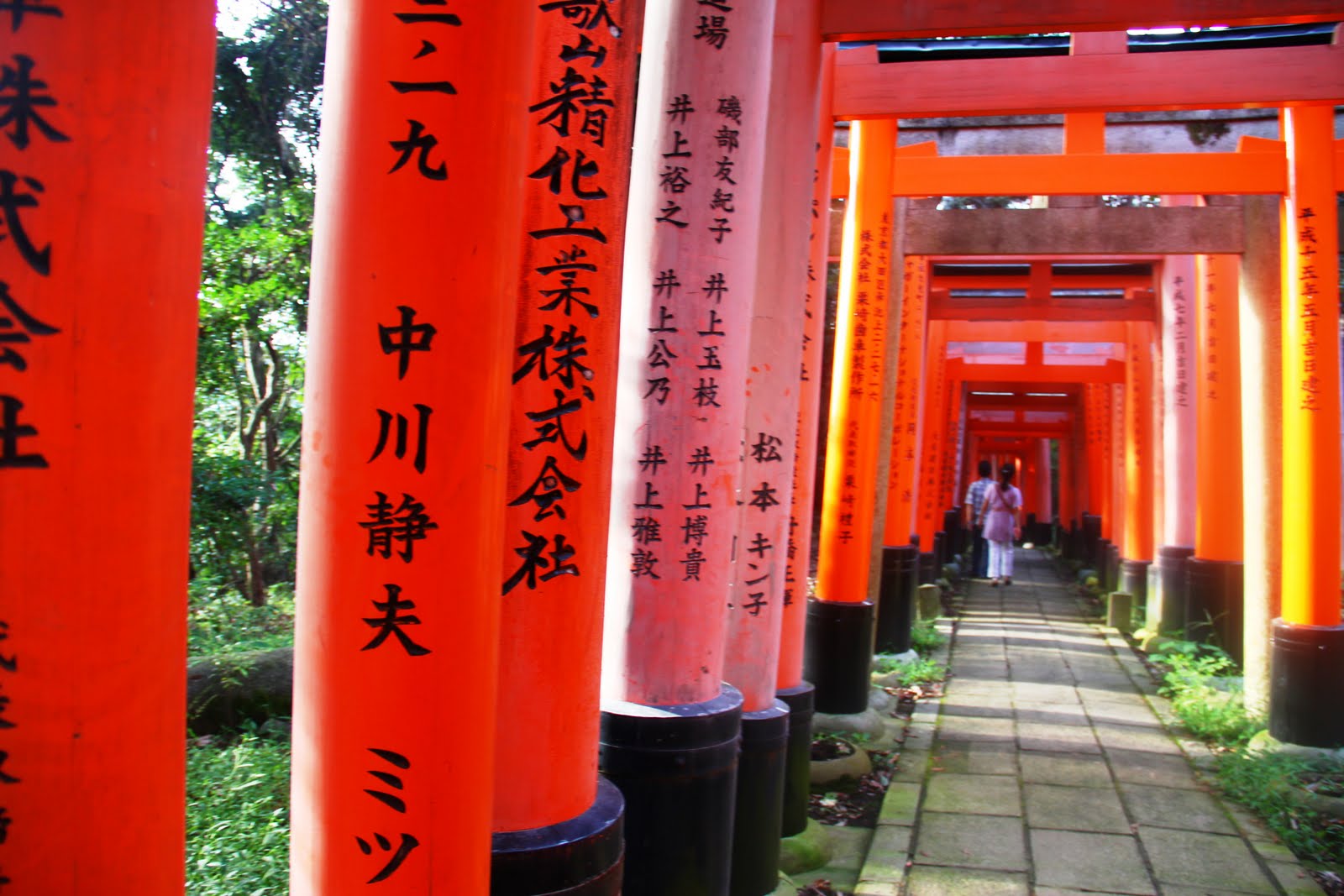 Little Green Bug: Red, Red gates