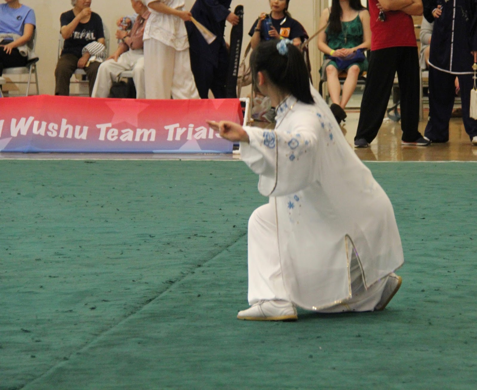 Tiger303: USA National Taijiquan Team Trials : Fonda Xu : Chen taijijian