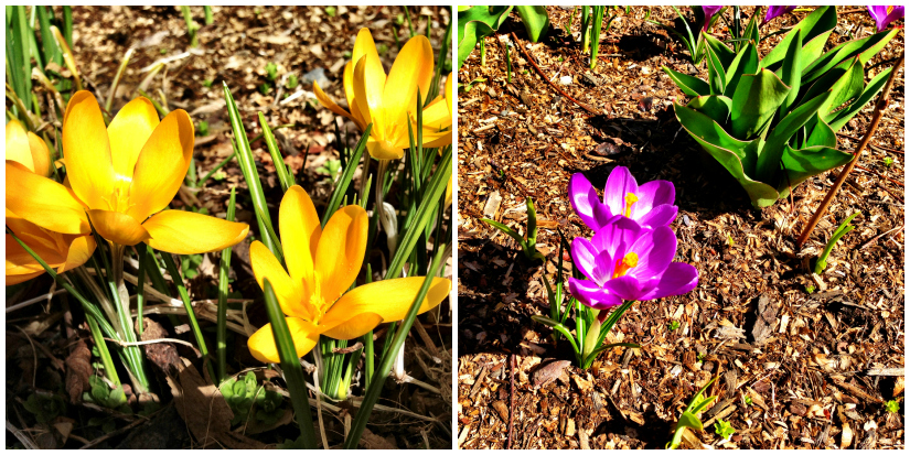 Oy! : Why Every Lady Should Visit the Driving Range