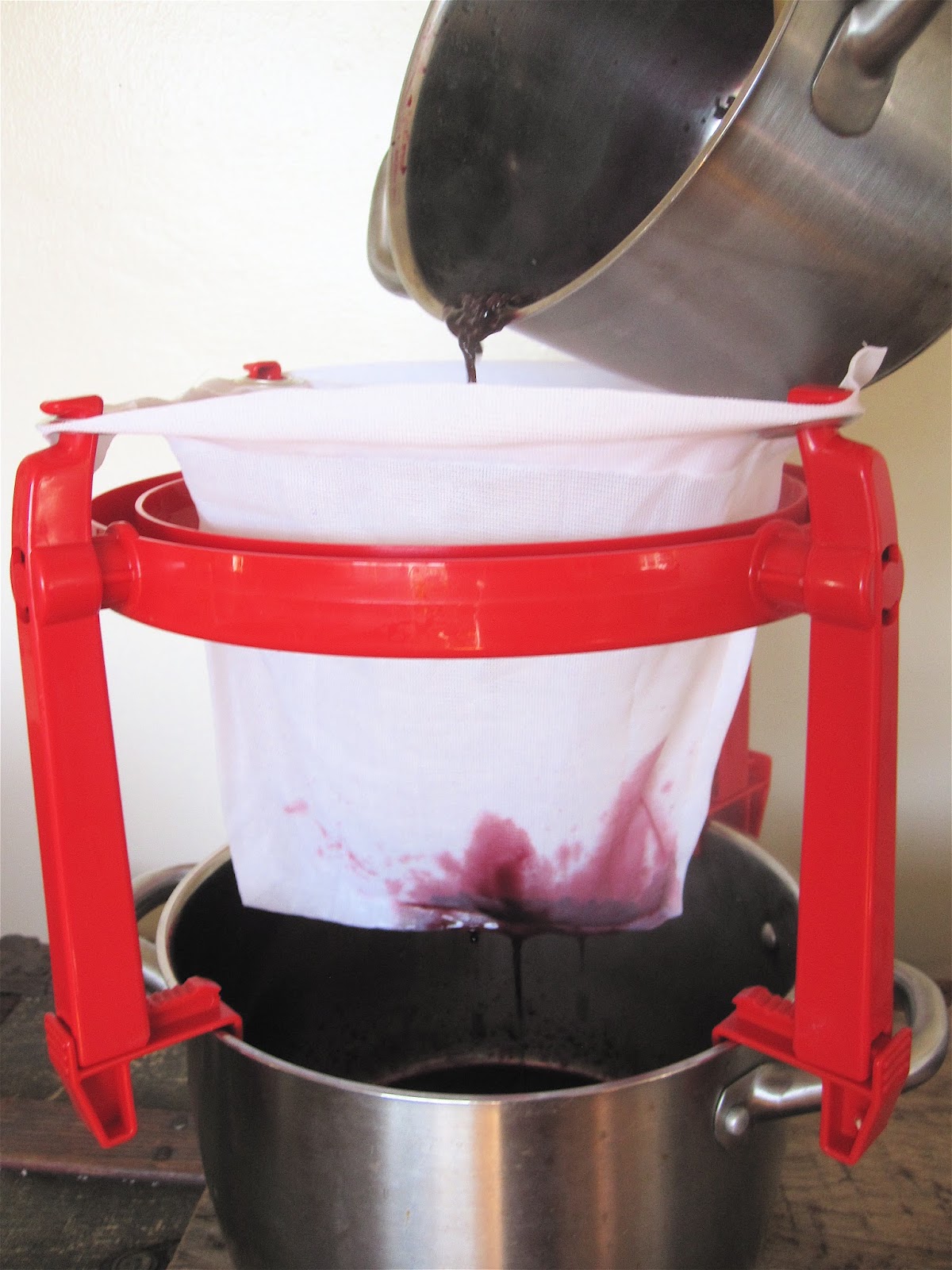 Cloudberry & Moss: Elderberry Syrup with Vanilla and Cloves. Recipe for ...