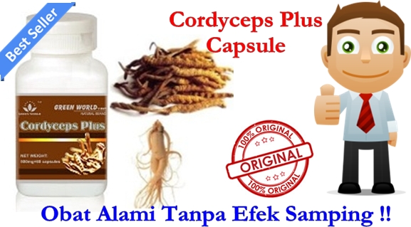 Cordyceps Plus Capsule ~ Ahlinya Obat Green World
