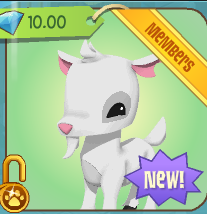 All Things Animal Jam Classic: Animal Jam Goats are Here!