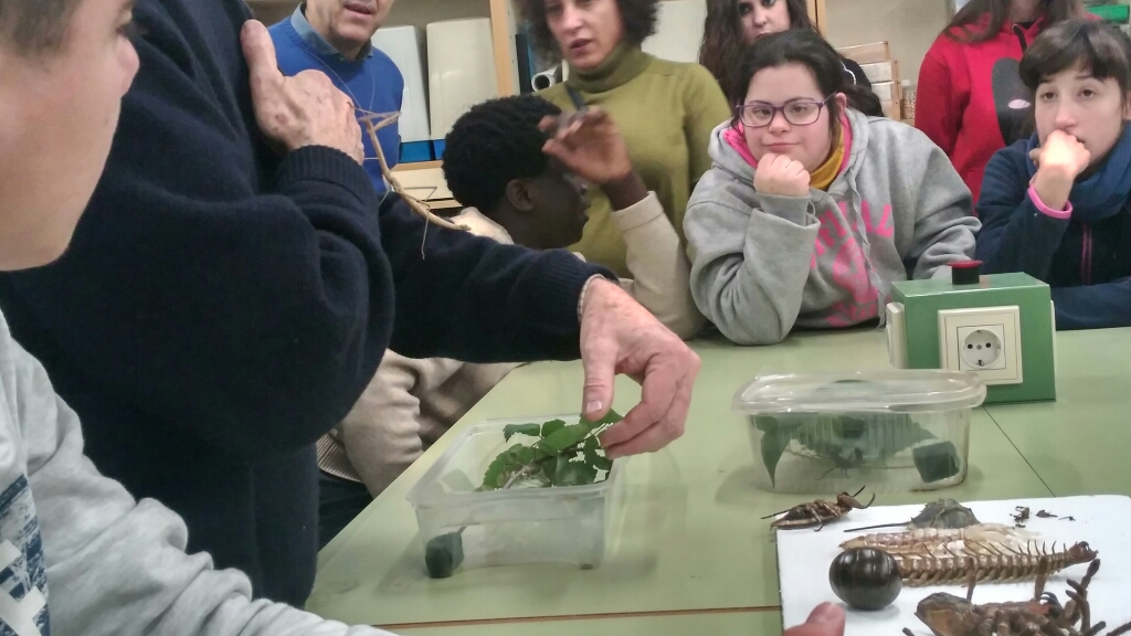 AULA ESTUPENDA: Taller de bichos