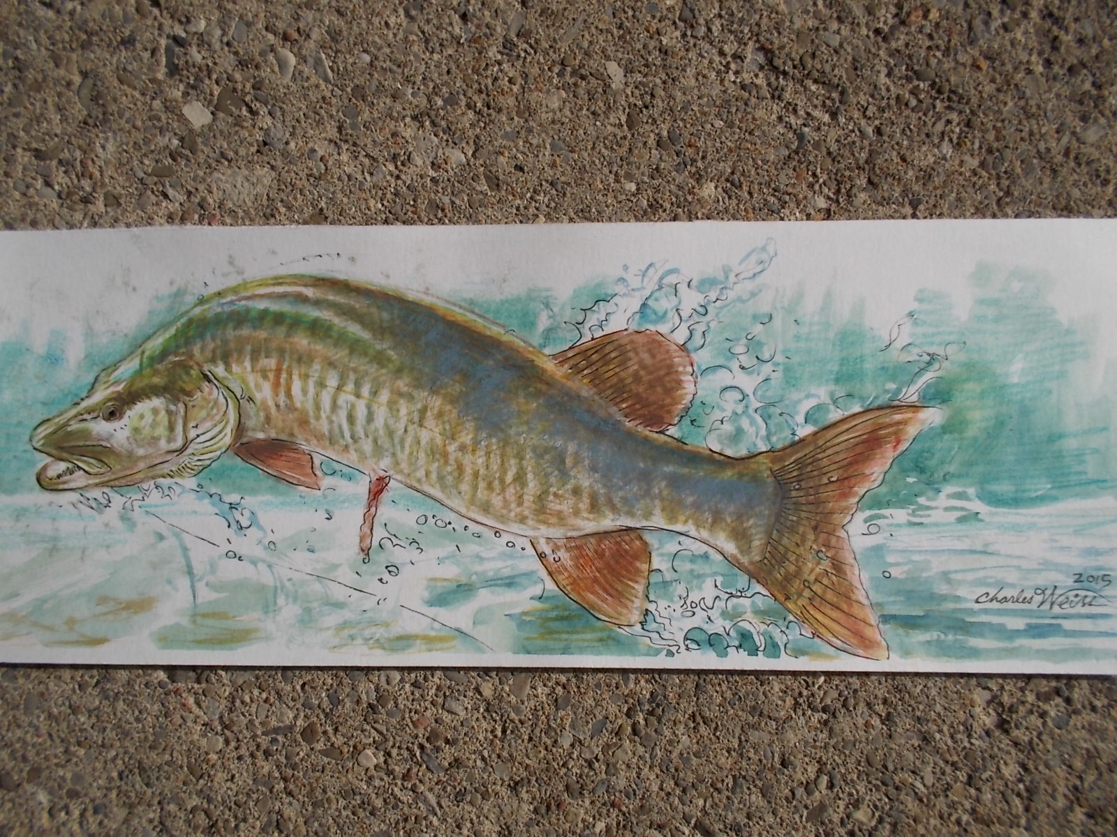 CHARLES WEISS ART: acrylic painting :Night Time Leaping Muskie