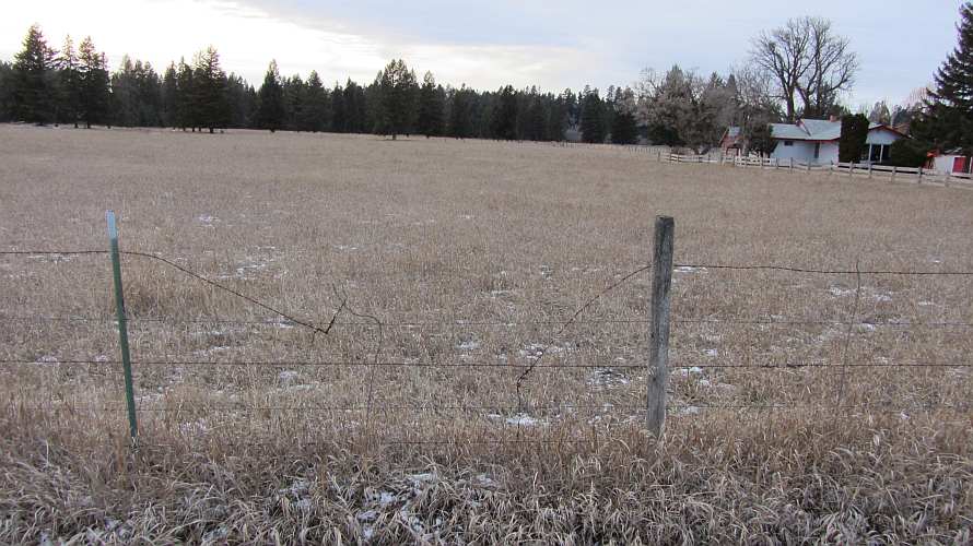 Life among the Tall Pines: Broken fence wire